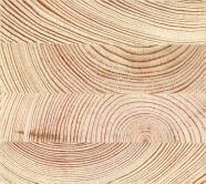 Glued Laminated Timber Glulam End Grain Architextures Glued Laminated Timber Glulam End Grain Architextures