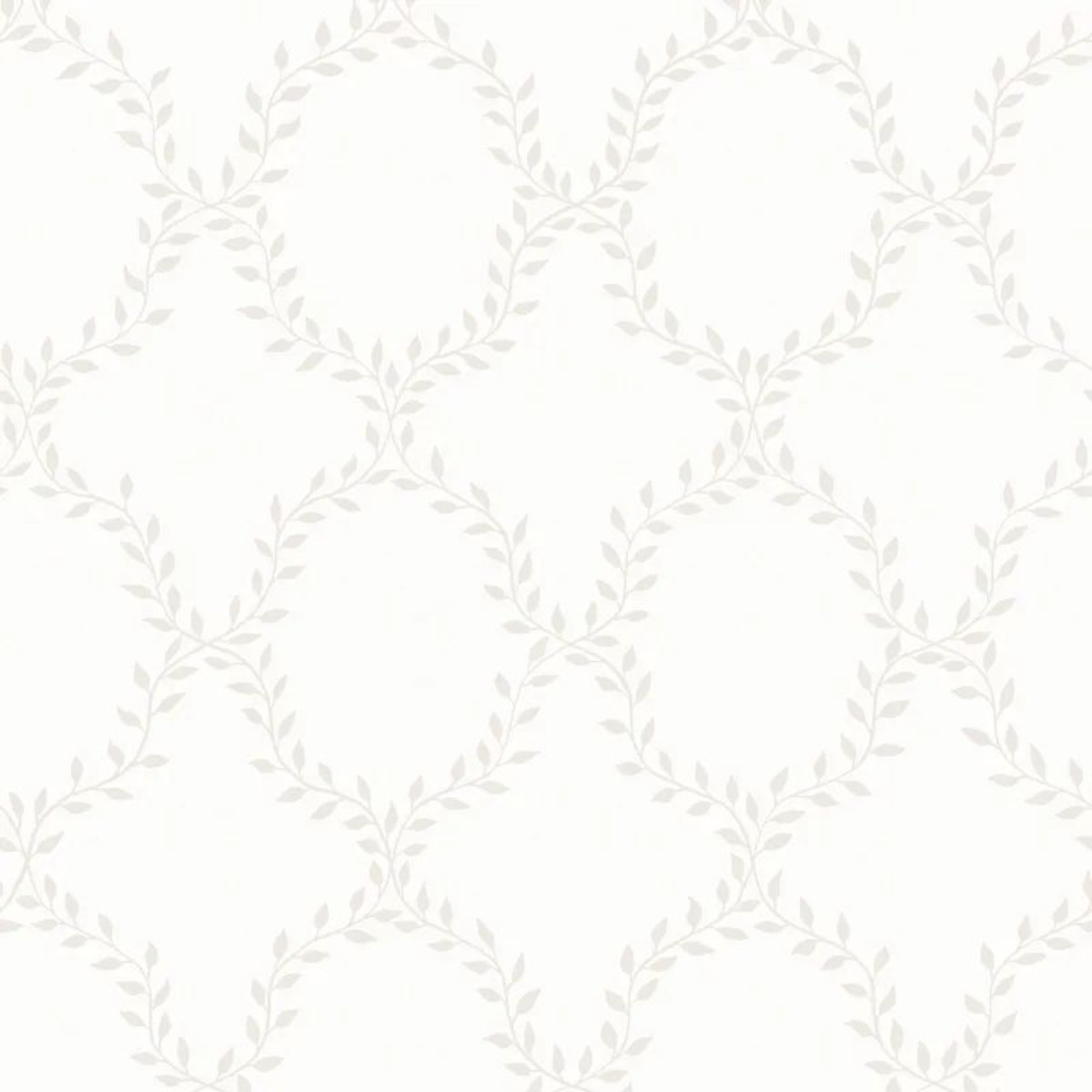 Wilma, Eggshell - Architextures